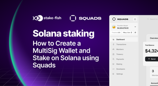 How to Create a MultiSig Wallet and Stake on Solana using Squads
